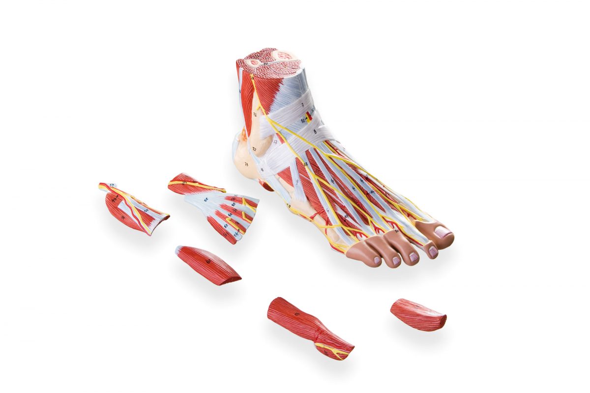 Zubehör - feet control